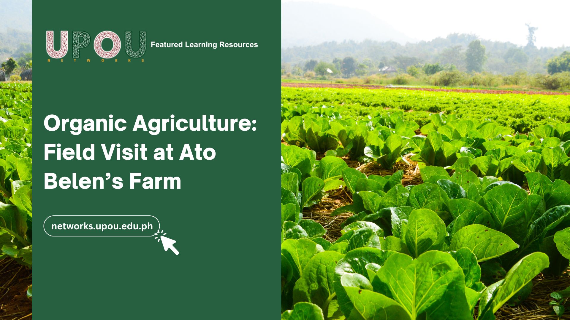 Organic Agriculture: Field Visit at Ato Belen’s Farm - UPOU Networks